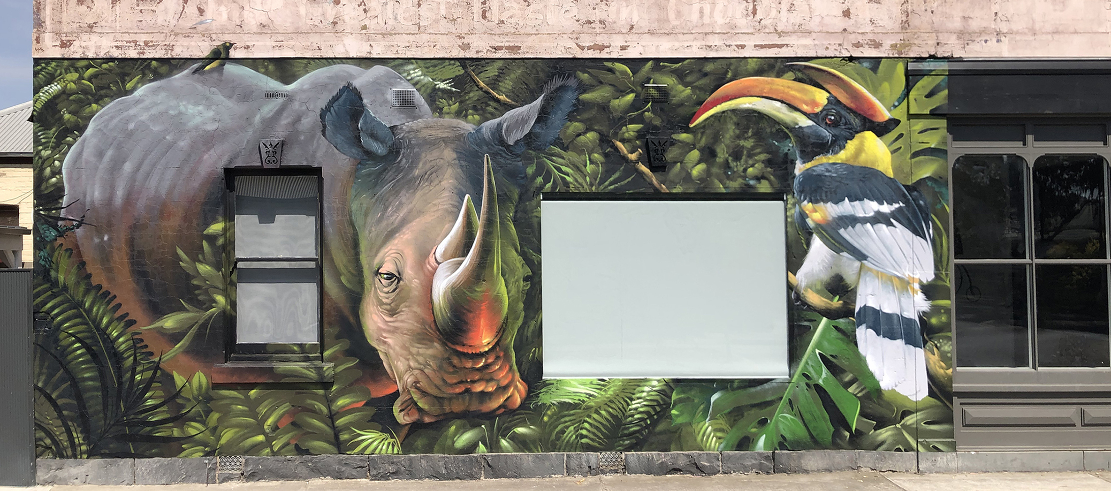 Rhino wall - Written & Illustrated